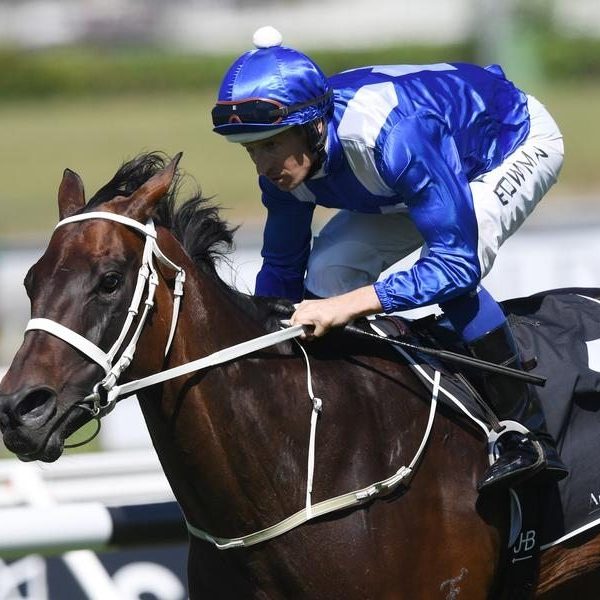 Queen Elizabeth Winx’s farewell to racing? – WINX