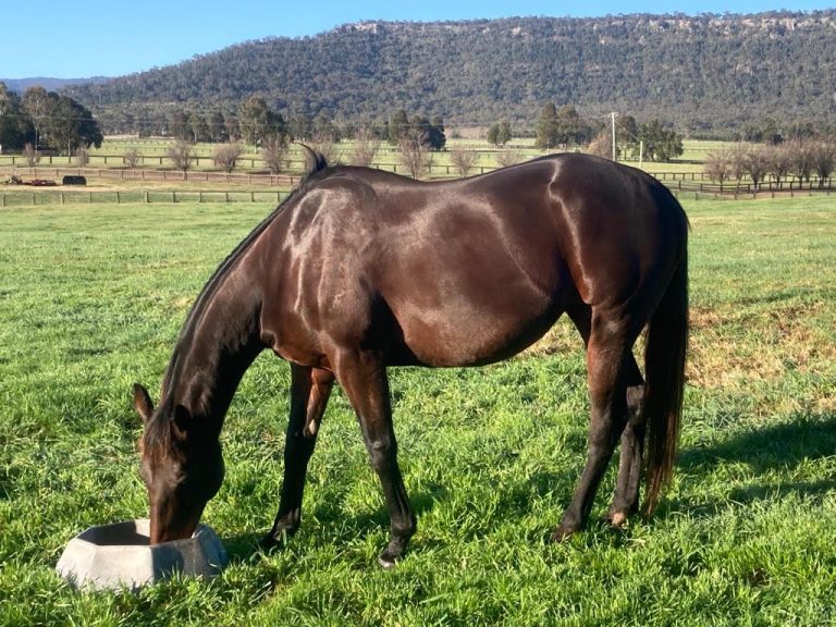WINX Pregnancy Journey – WINX