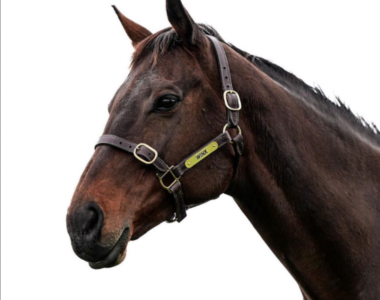 WINX Horse (Official) - Chris Waller Racing